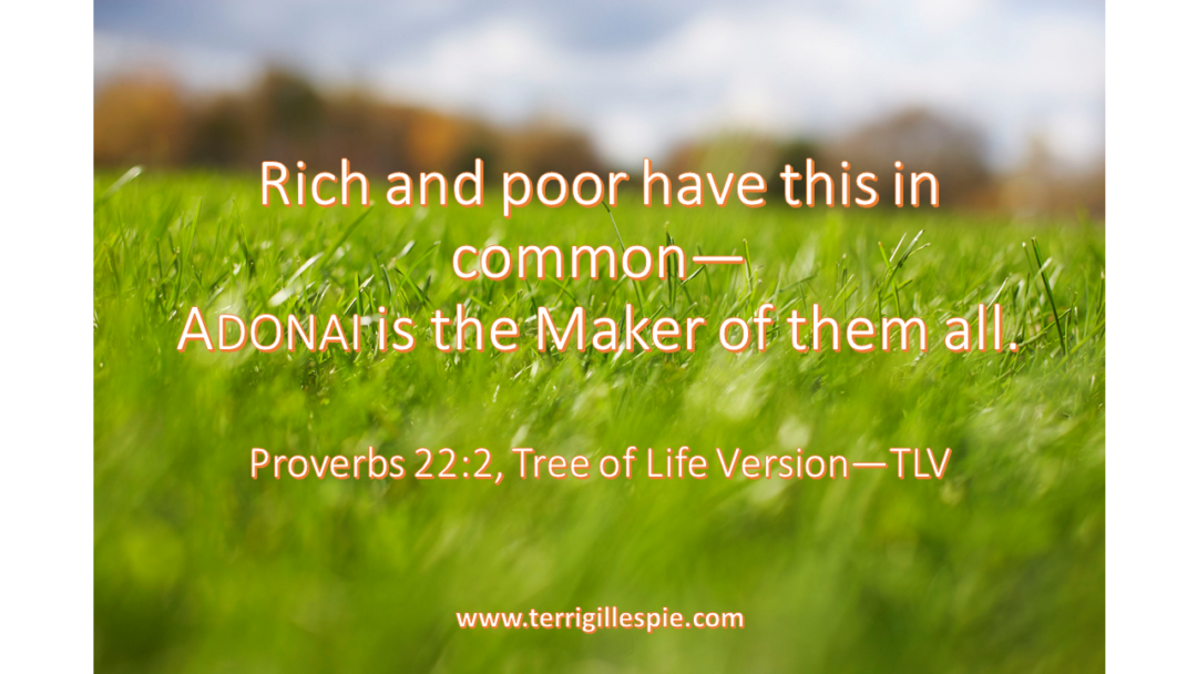 Wisdom's Journey: Proverbs 22:2 - Terri Gillespie