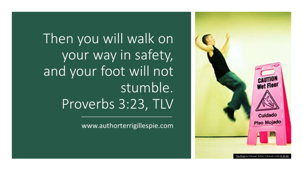 Wisdom's Journey: Proverbs 3:23 - Terri Gillespie