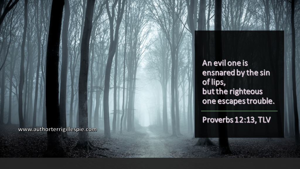Wisdom's Journey: Proverbs 12:13 - Terri Gillespie