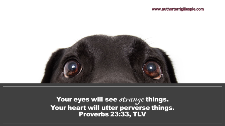 Wisdom's Journey: Proverbs 23:33 - Terri Gillespie