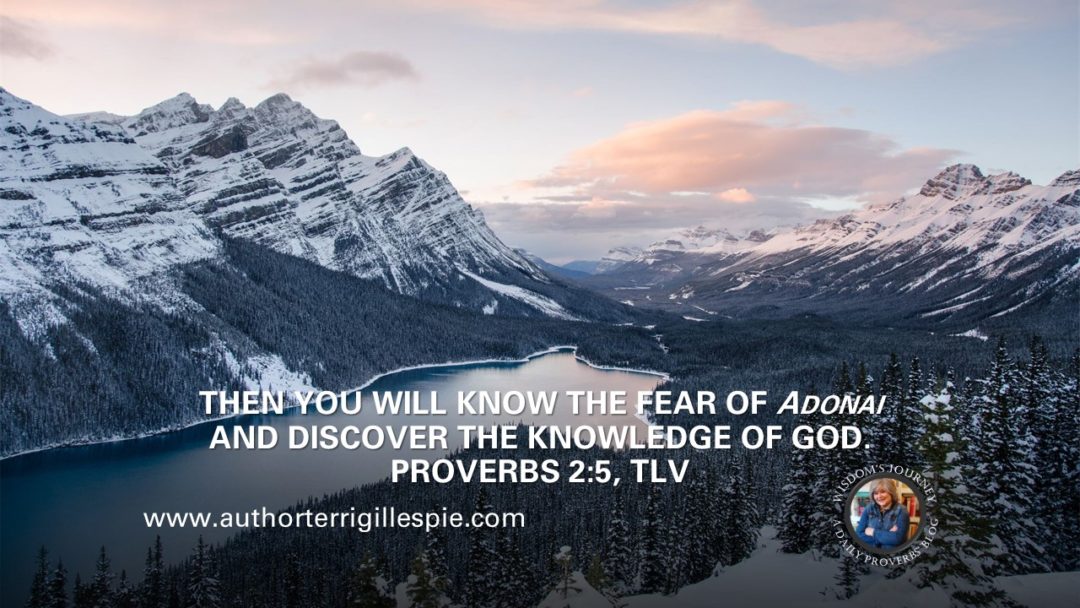Wisdom's Journey: Proverbs 2:5 - Terri Gillespie