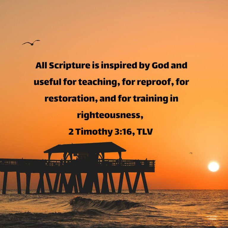 Daily Word: 2 Timothy 3:16-17 - Terri Gillespie