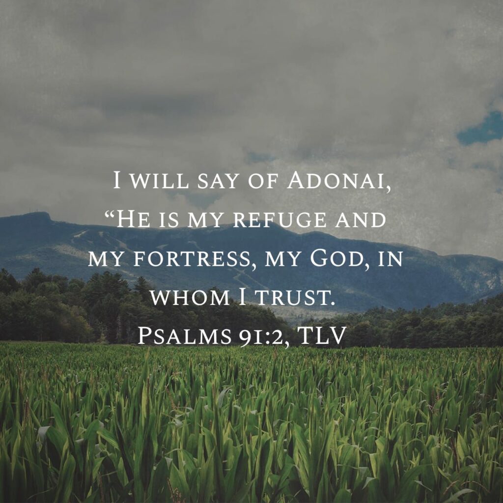 Daily Word: Psalm 91:2 - Terri Gillespie