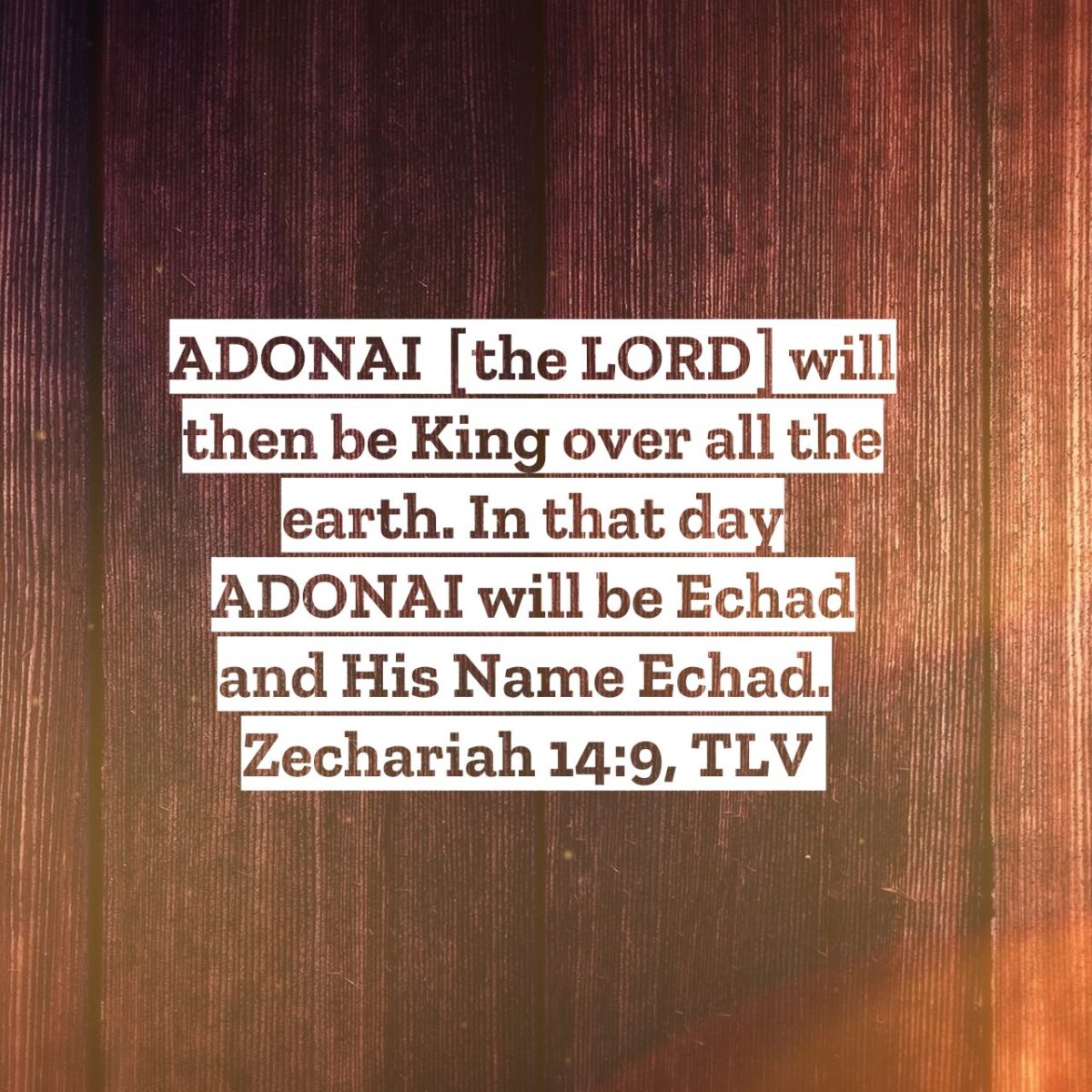 Daily Word: Echad, Zechariah 14:9 - Terri Gillespie