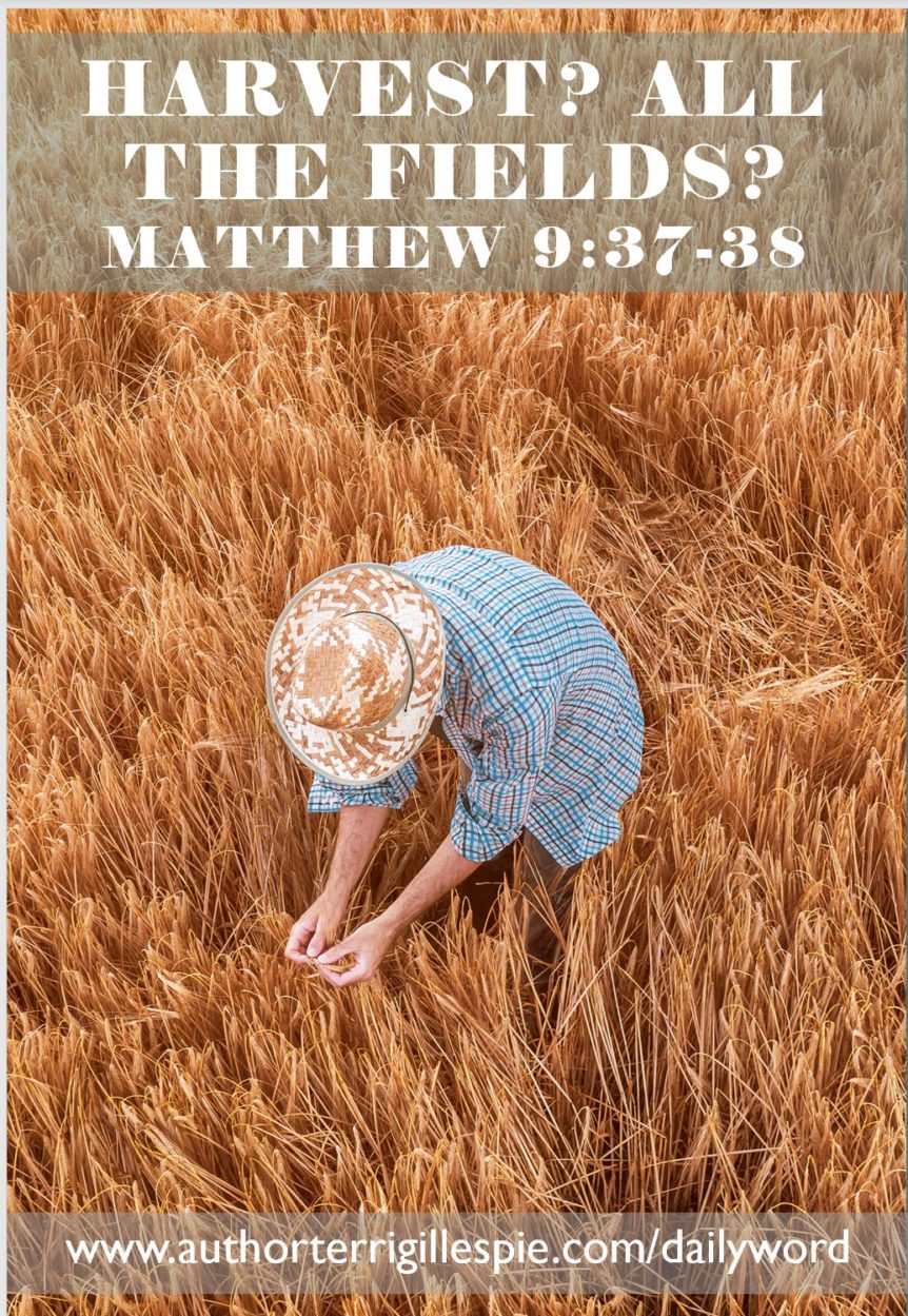 Daily Word: Harvest? All the Fields? Matthew 9:37-38 - Terri Gillespie