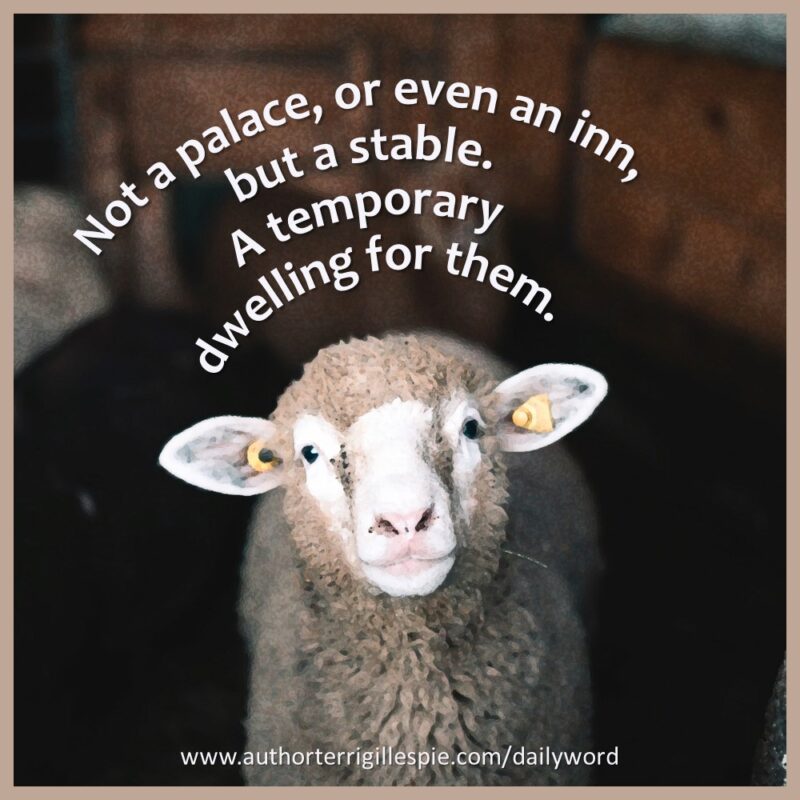 Daily Word: What is in a Word? Plenty! John 1:14 - Terri Gillespie