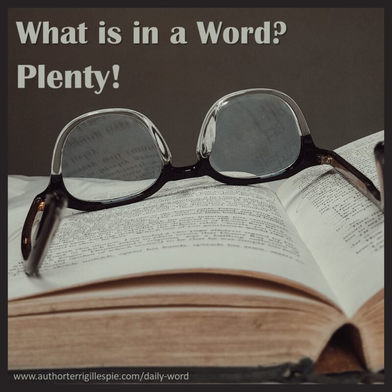 Daily Word: What is in a Word? Plenty! John 1:14 - Terri Gillespie