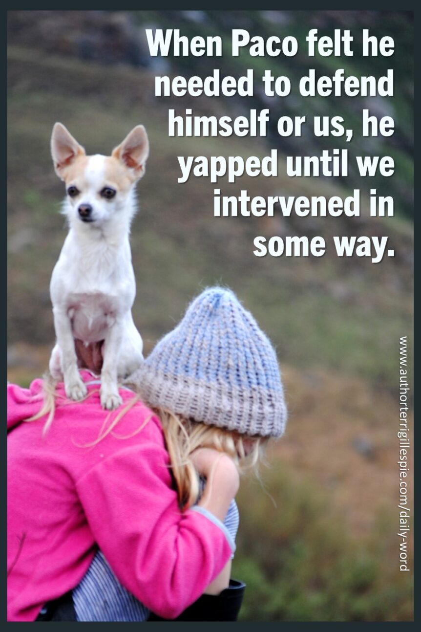 Daily Word: Another Paco Lesson. Proverbs 10:18 - Terri Gillespie