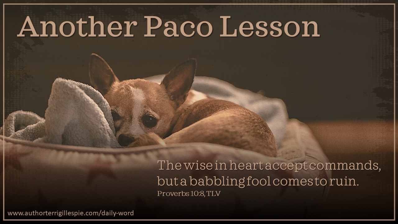 Daily Word: Another Paco Lesson. Proverbs 10:18 - Terri Gillespie