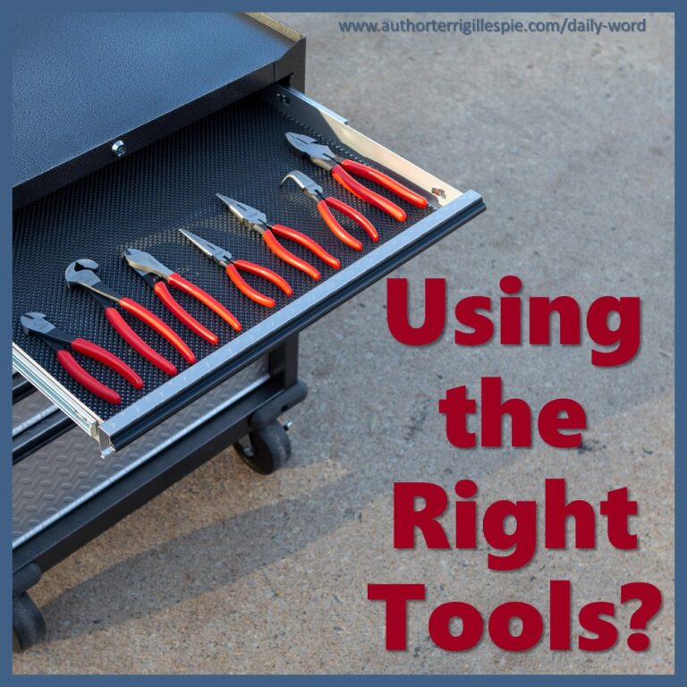 Daily Word: Using the Right Tools? Proverbs 13:15 - Terri Gillespie