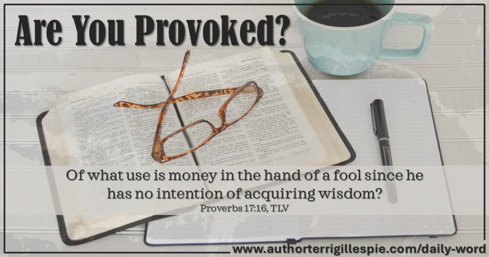 Daily Word: Are You Provoked? Proverbs 17:16 - Terri Gillespie